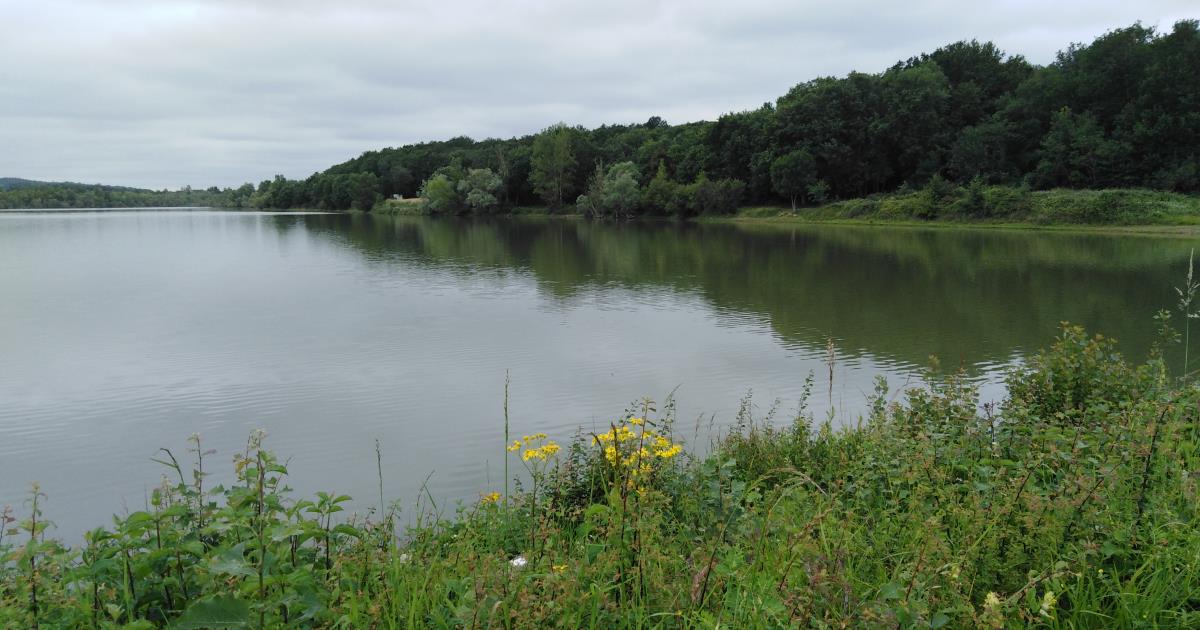 LAC - SAINTE-FOY-DE-PEYROLIERES - Lake and recreational body of water