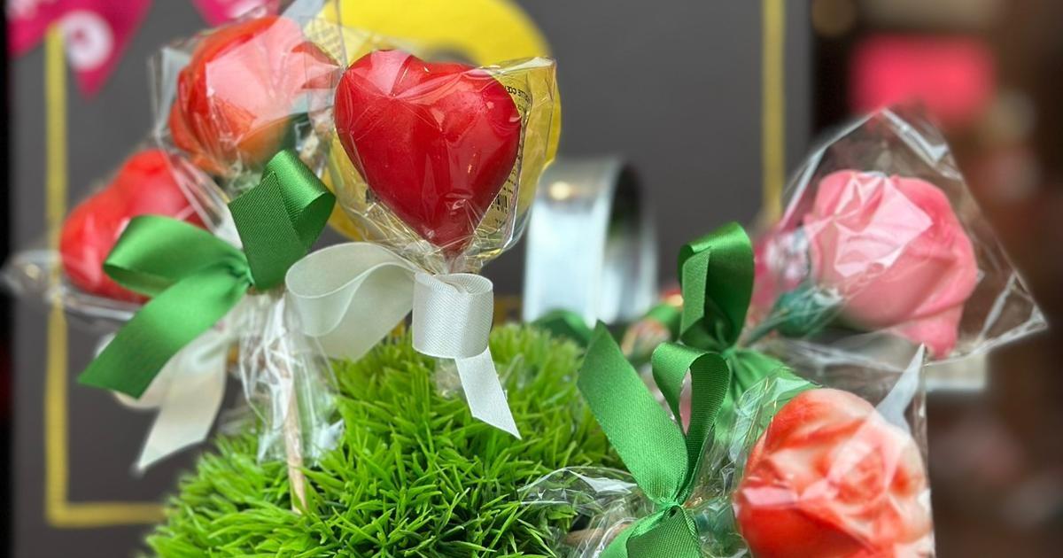 MAISON PILLON - TOULOUSE