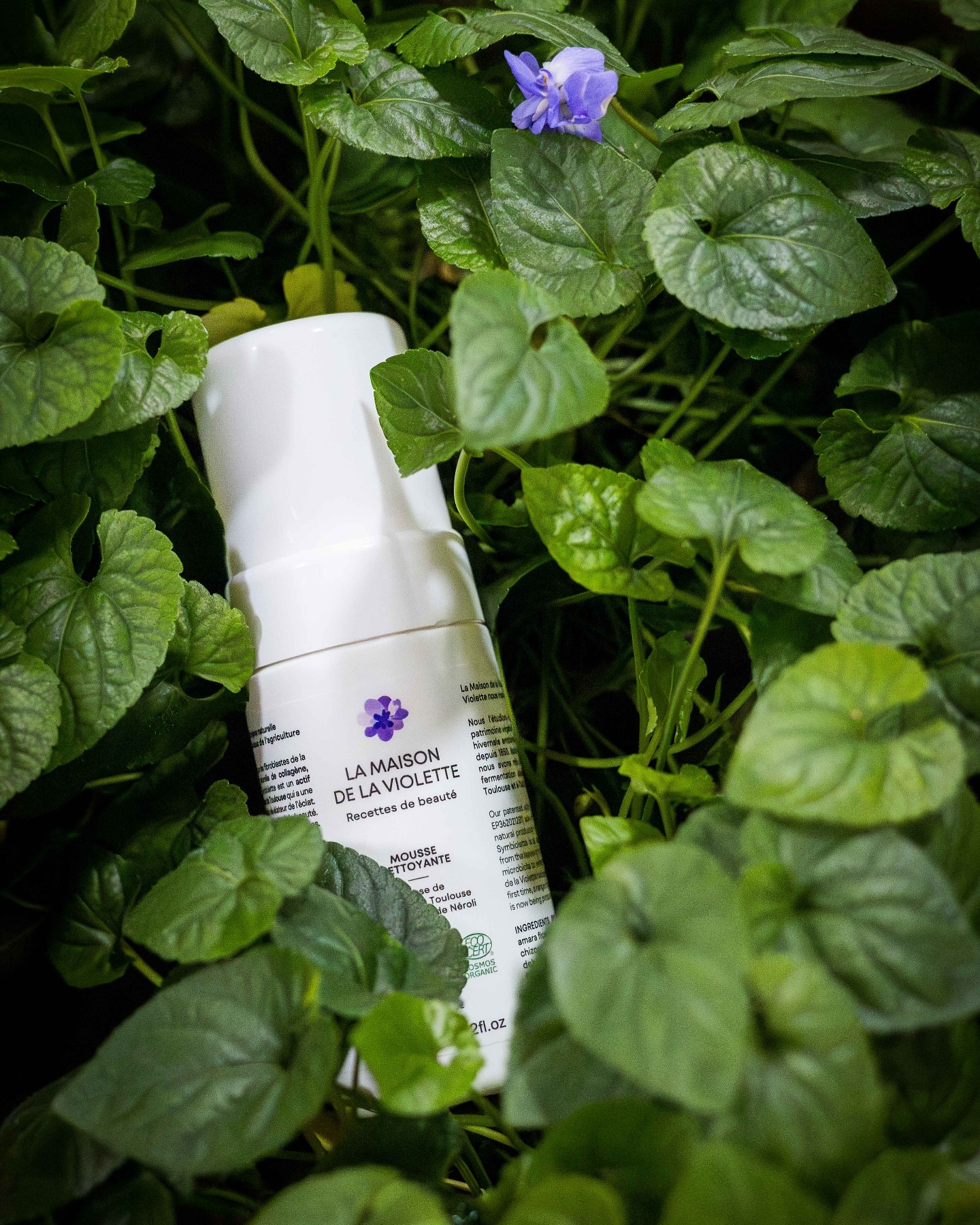 LA MAISON DE LA VIOLETTE - TOULOUSE