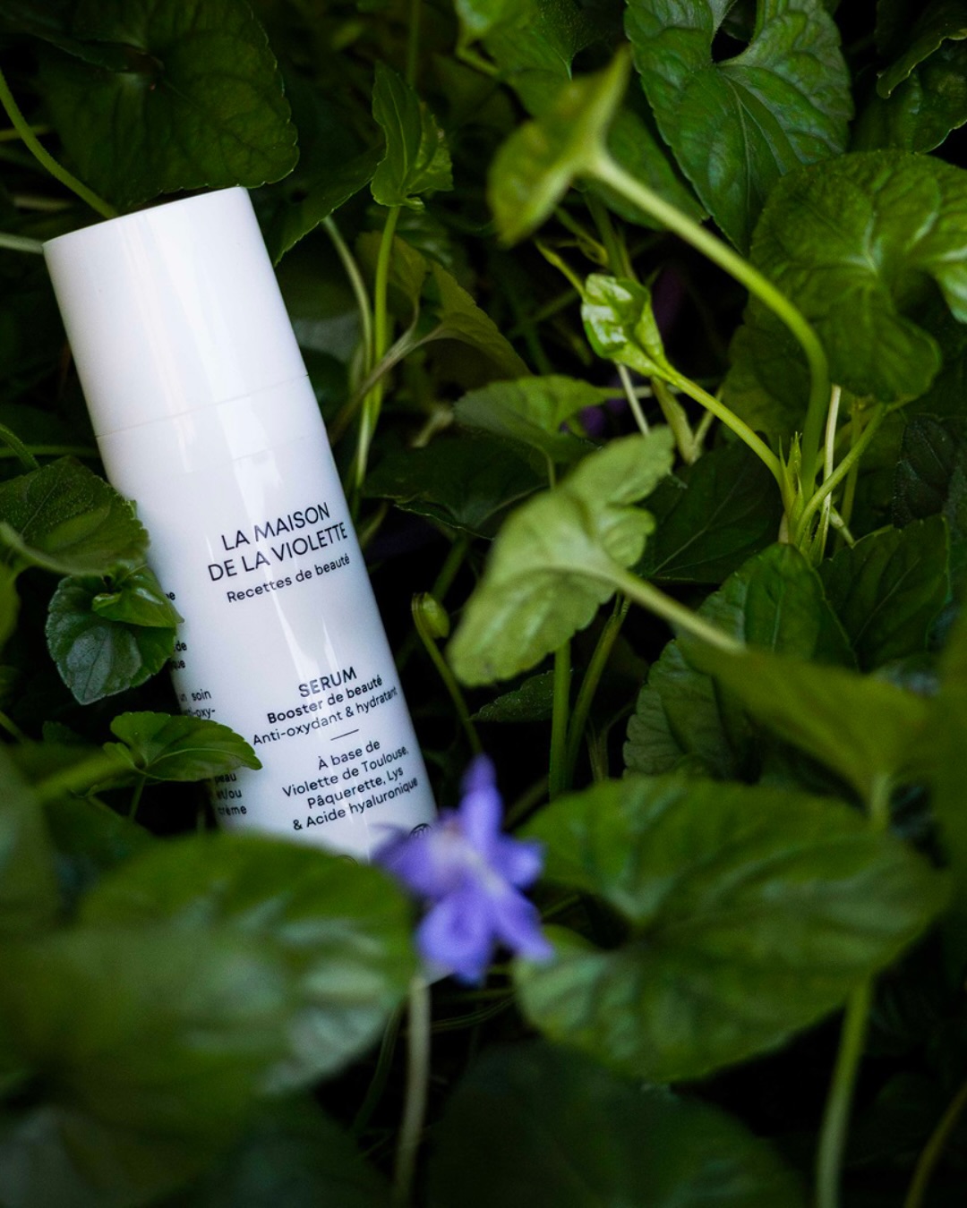 LA MAISON DE LA VIOLETTE - TOULOUSE