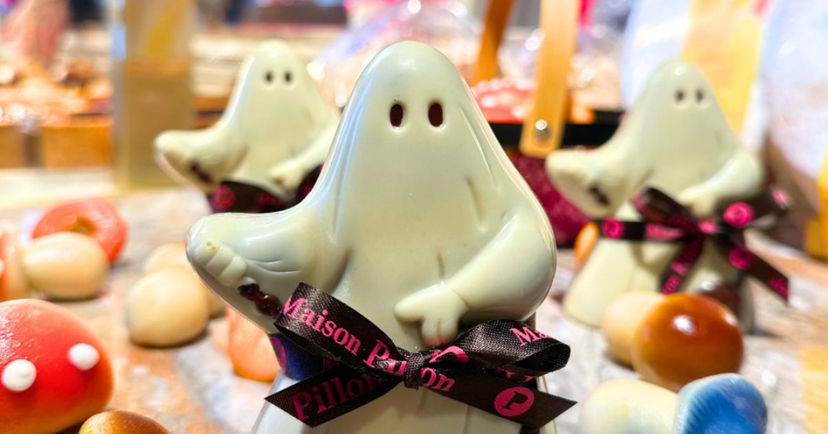 MAISON PILLON - TOULOUSE