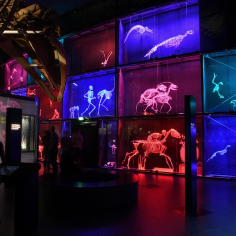 CENTRE HISTORIQUE DE CARAMAN - CARAMAN