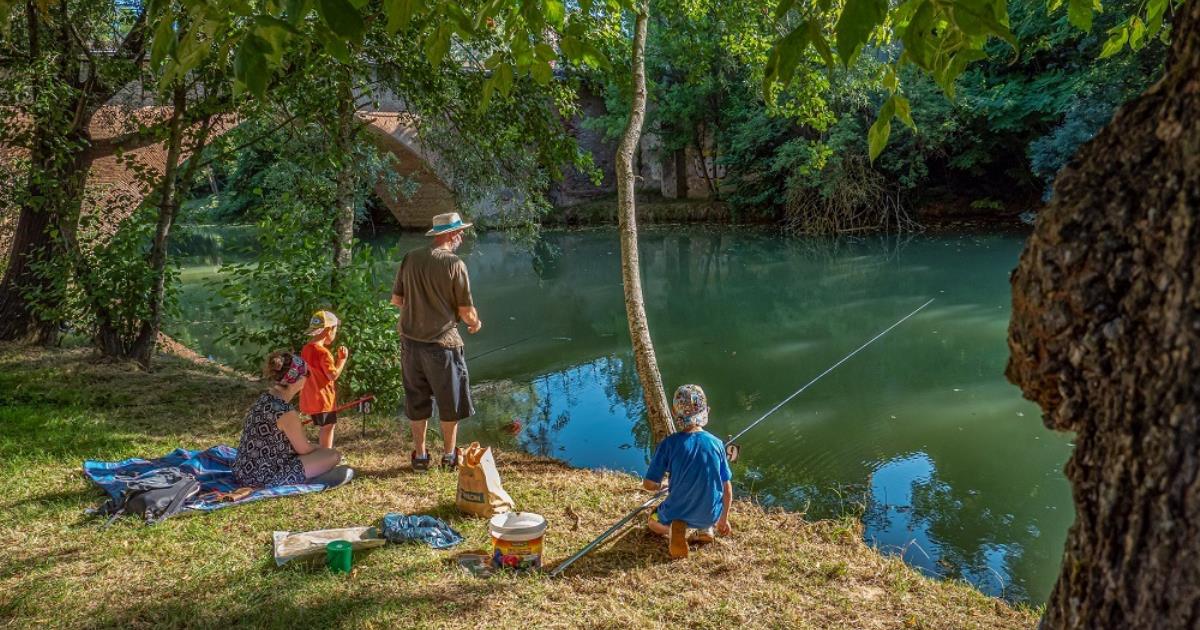 THE SAVE BRIDGE - GRENADE