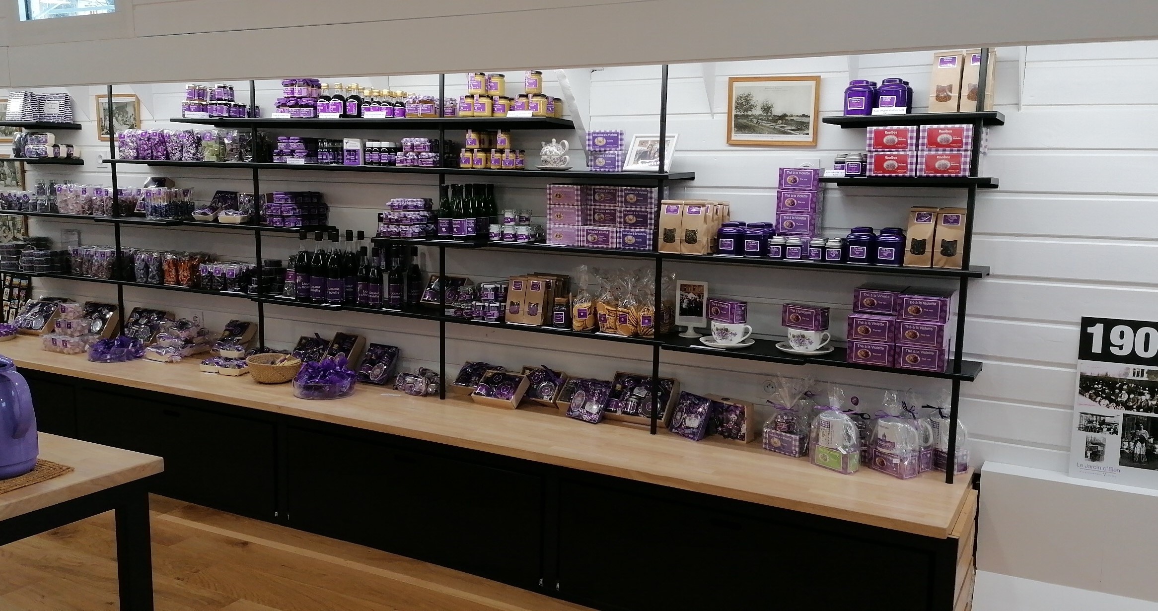 LA MAISON DE LA VIOLETTE - TOULOUSE