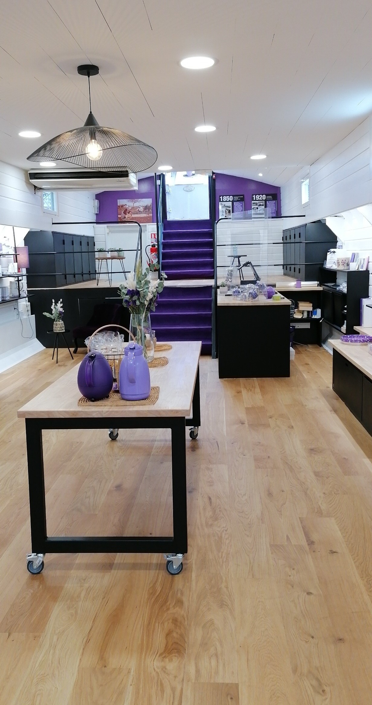 LA MAISON DE LA VIOLETTE - TOULOUSE