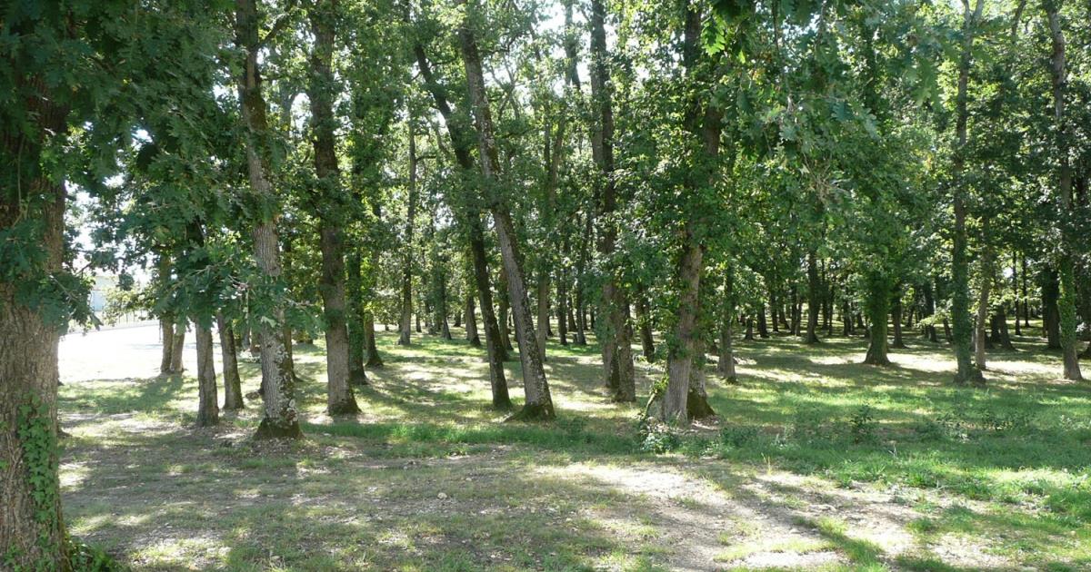 PARC DU CHATEAU DE CAPDEVILLE - FRONTON