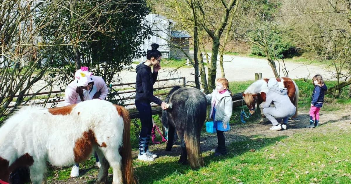 PONEY CLUB REVEL ST FERREOL - REVEL