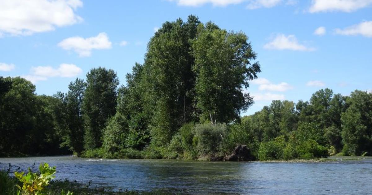 LE RAMIER DE BIGORRE - MERVILLE