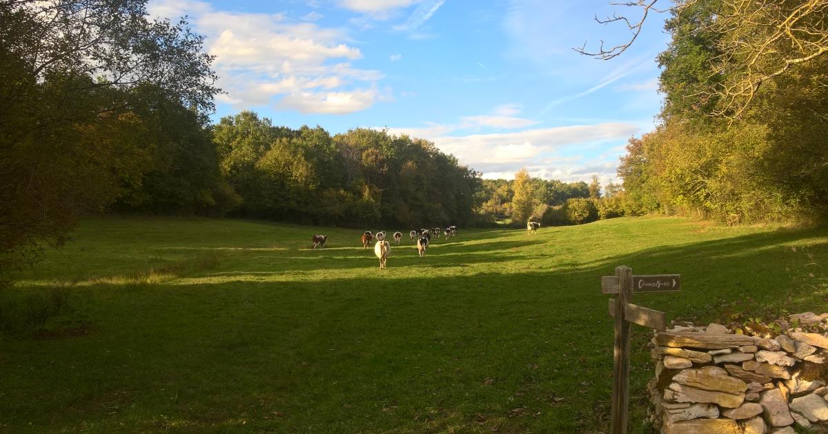 NANKING ROAD - PROUPIARY