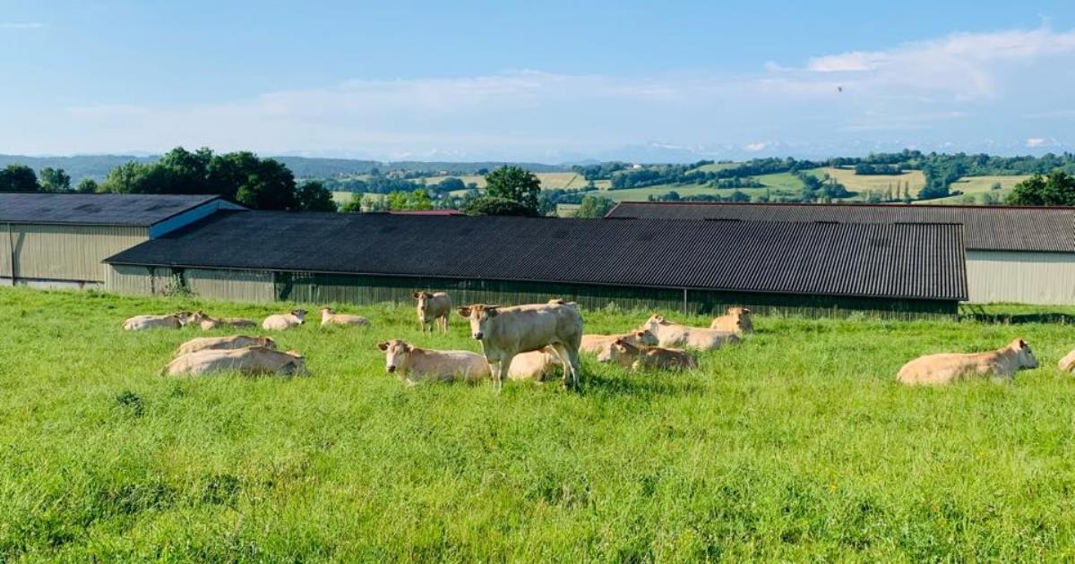 CAMP DE LA SALLE - MONTEGUT-BOURJAC