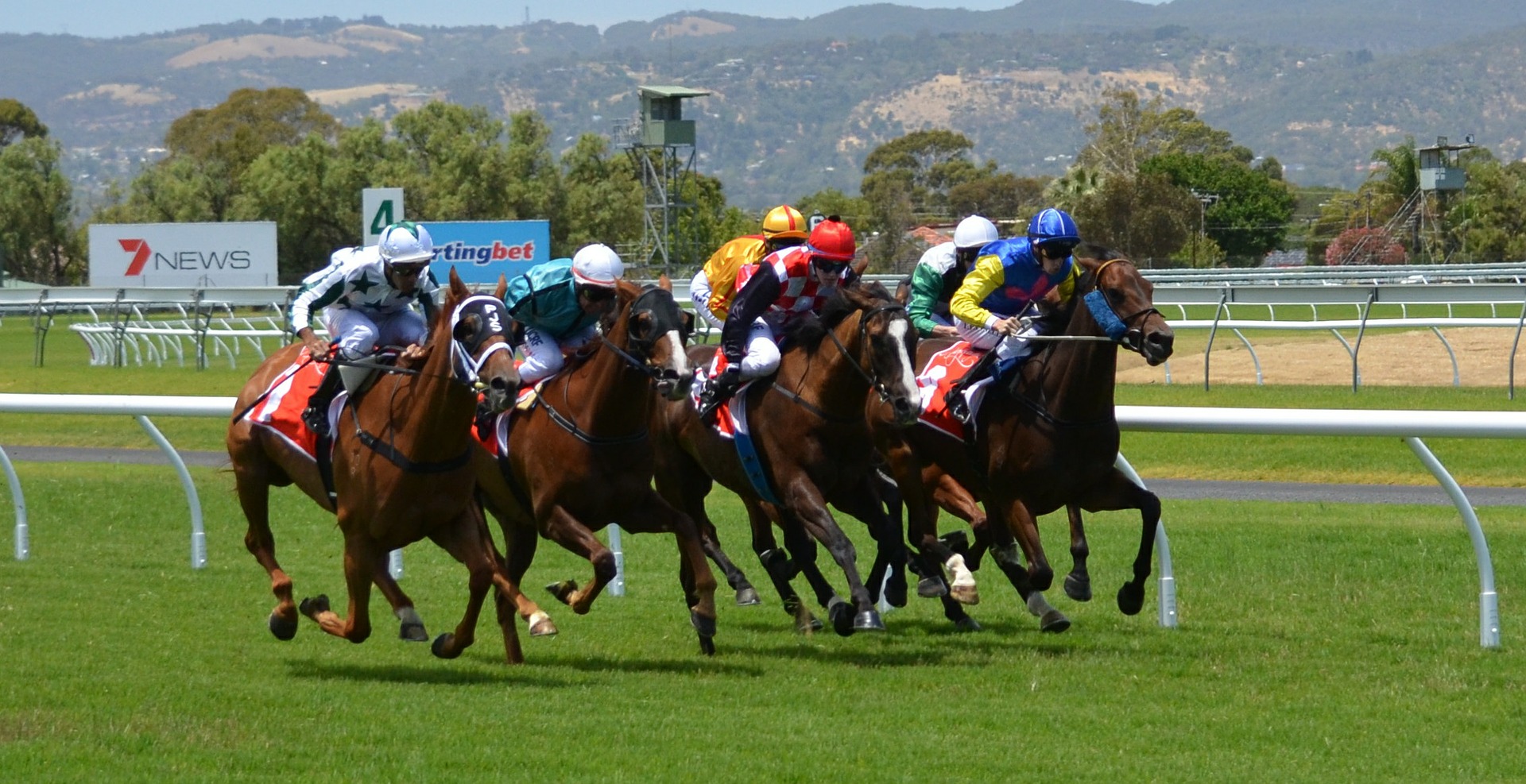 COURSES DE CHEVAUX SUR L'HIPPODROME DE LUCHON
