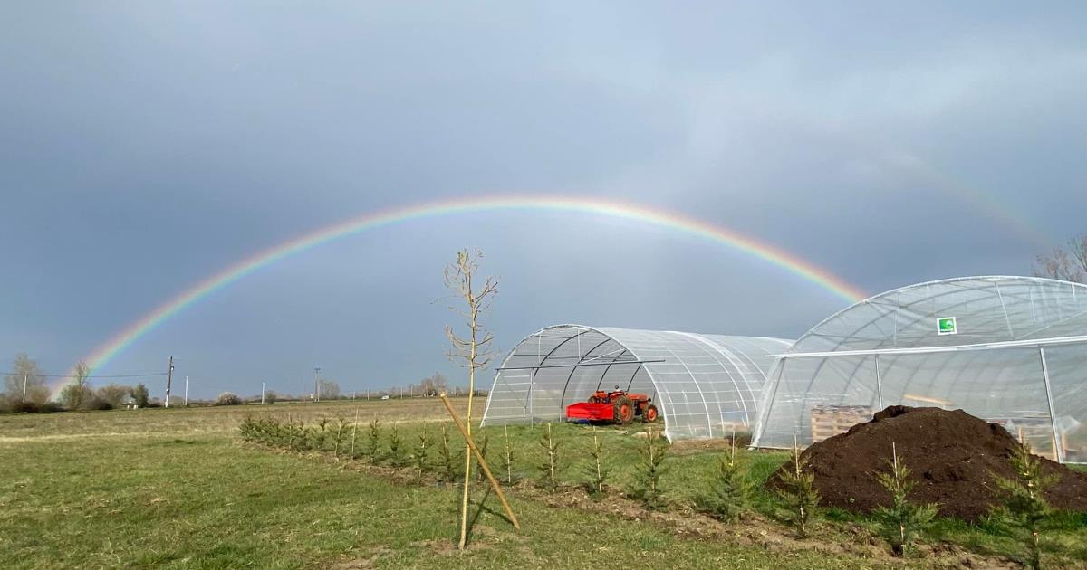 LA BORIA DU SOURIRE - LHERM