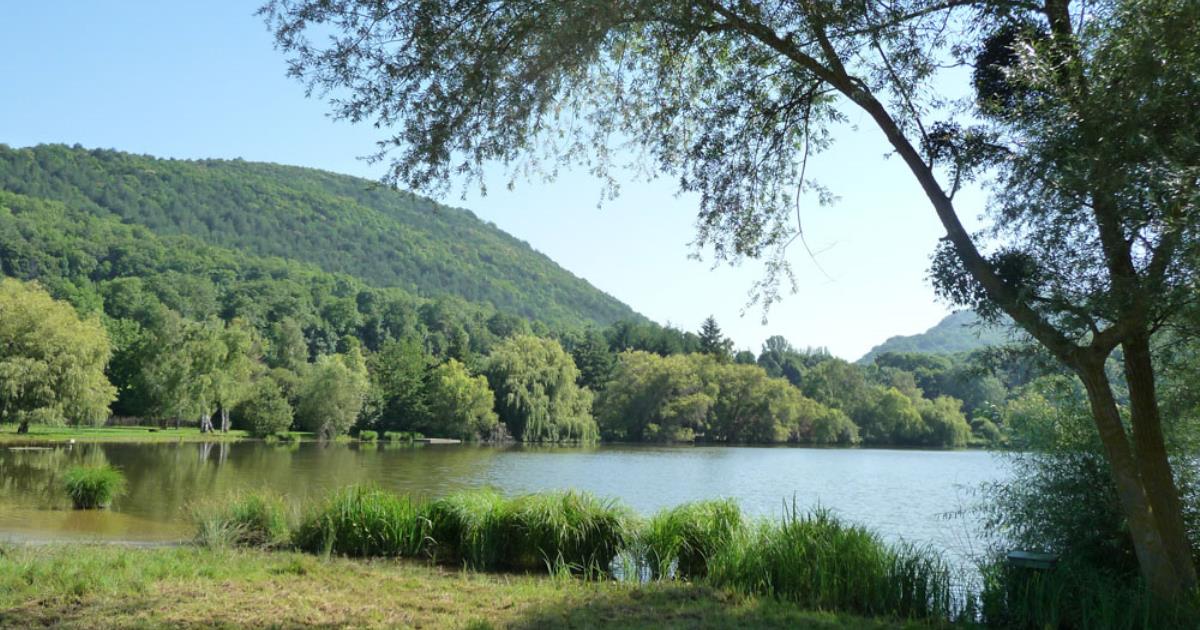 LAC DE BARBAZAN - BARBAZAN - Lake and recreational body of water, Tennis