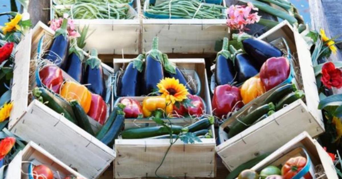 MARCHE PLEIN VENT - PINS-JUSTARET