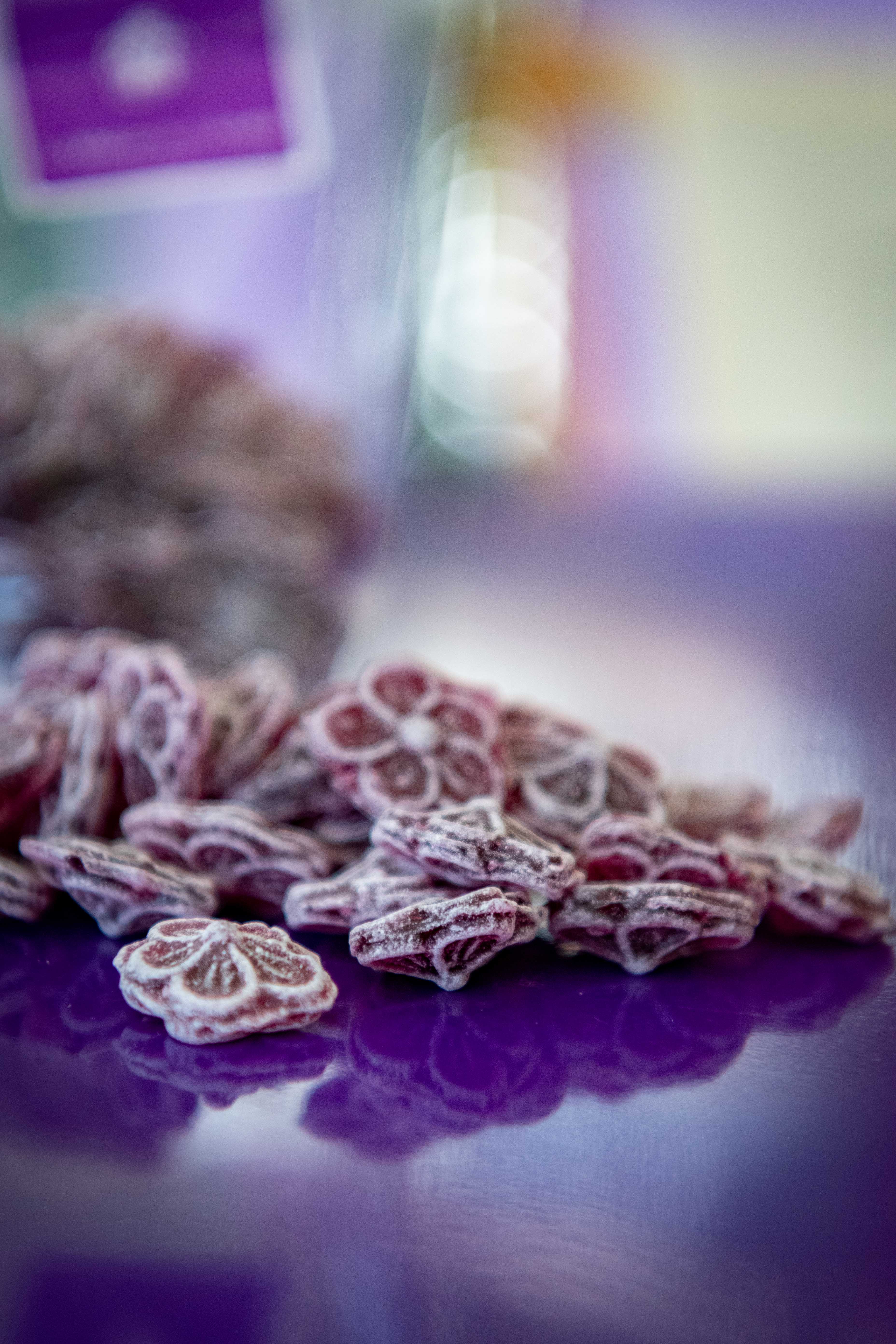 LA MAISON DE LA VIOLETTE - TOULOUSE