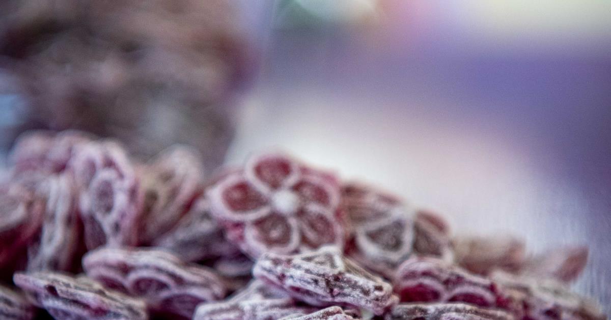 LA MAISON DE LA VIOLETTE - TOULOUSE
